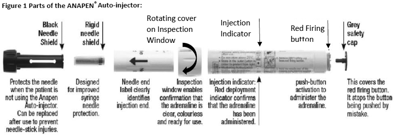 ANAPEN® - MyDr.com.au