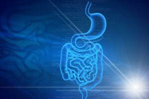 How your food is digested - myDr.com.au